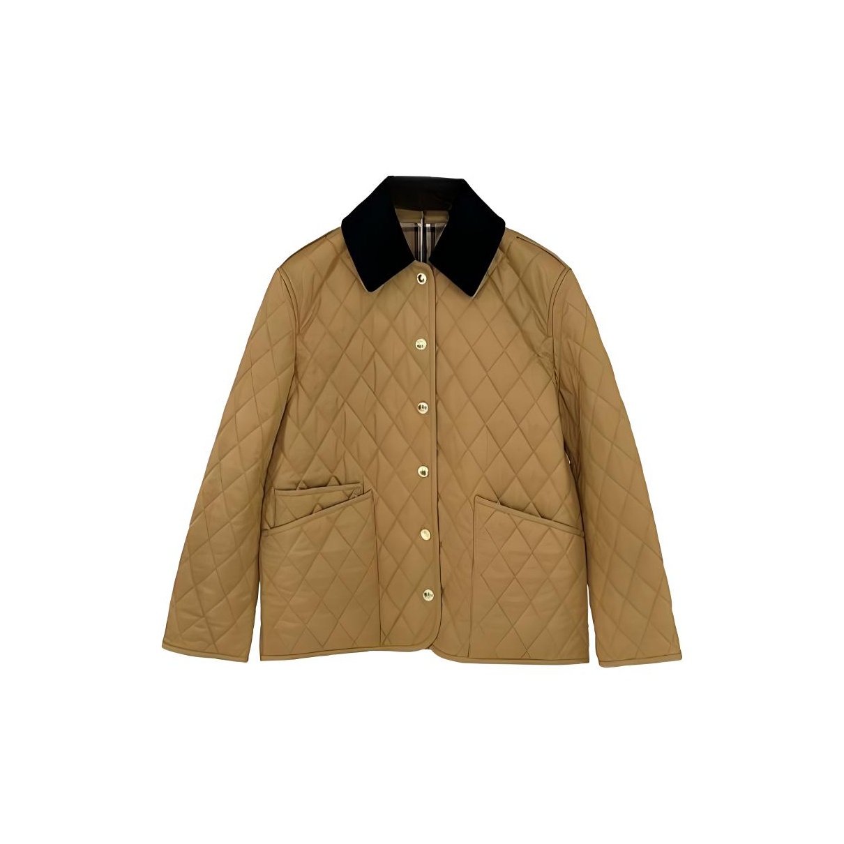 Women's burberry jackets on sale store