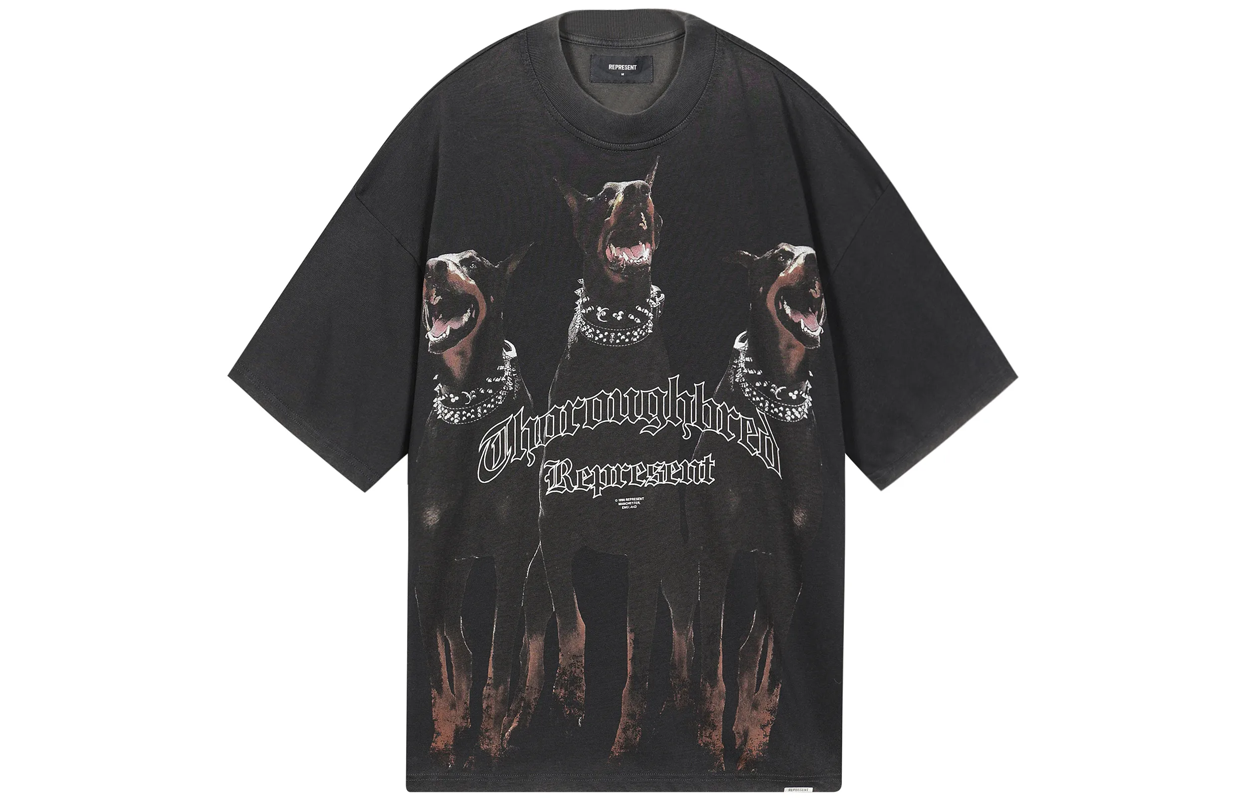 REPRESENT Thoroughbred T-Shirt Vintage Black - POIZON
