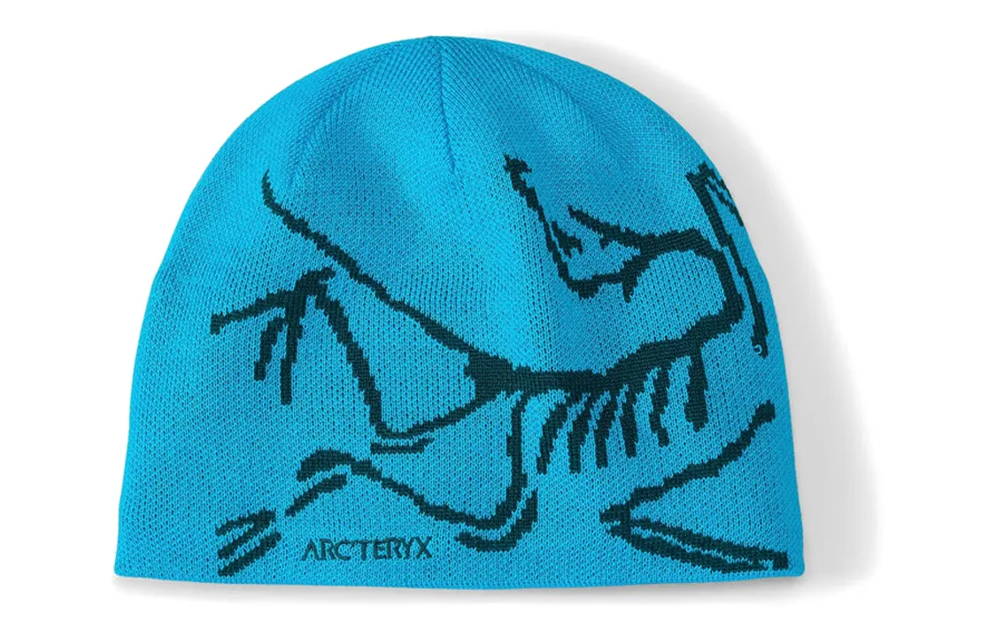 Arcteryx Bird Head Toque - POIZON