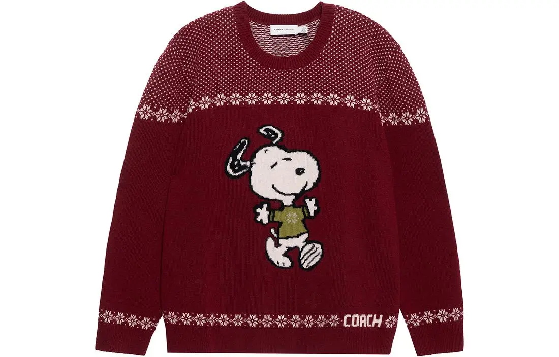 COACH Men Sweater - POIZON