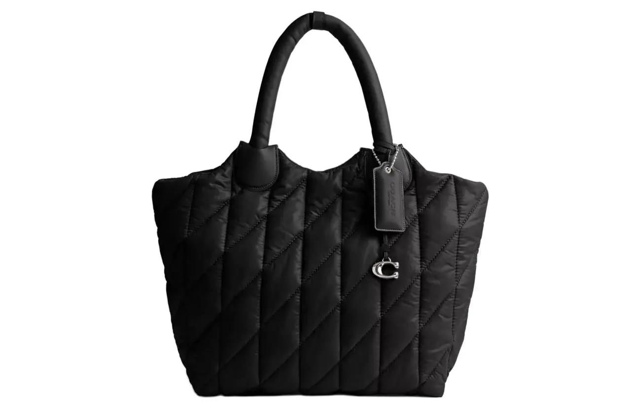 COACH Handbag Basic Set (Bag and Dust Bag)