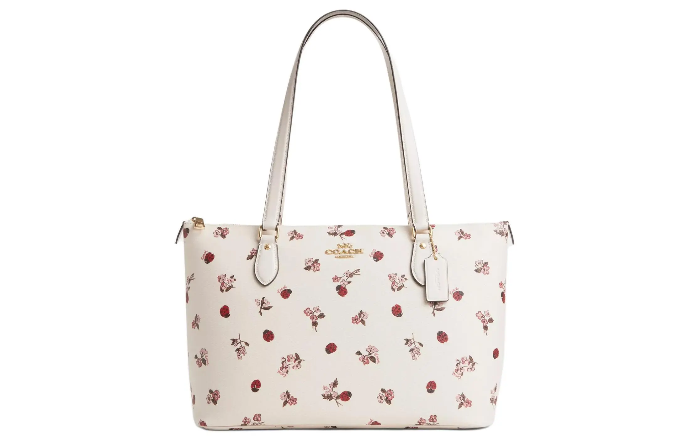 COACH Gallery Handbag Basic Set (Bag and Dust Bag)