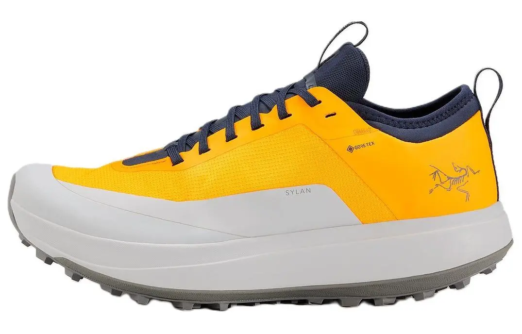 Arcteryx SYLAN GTX Running shoes Men - POIZON