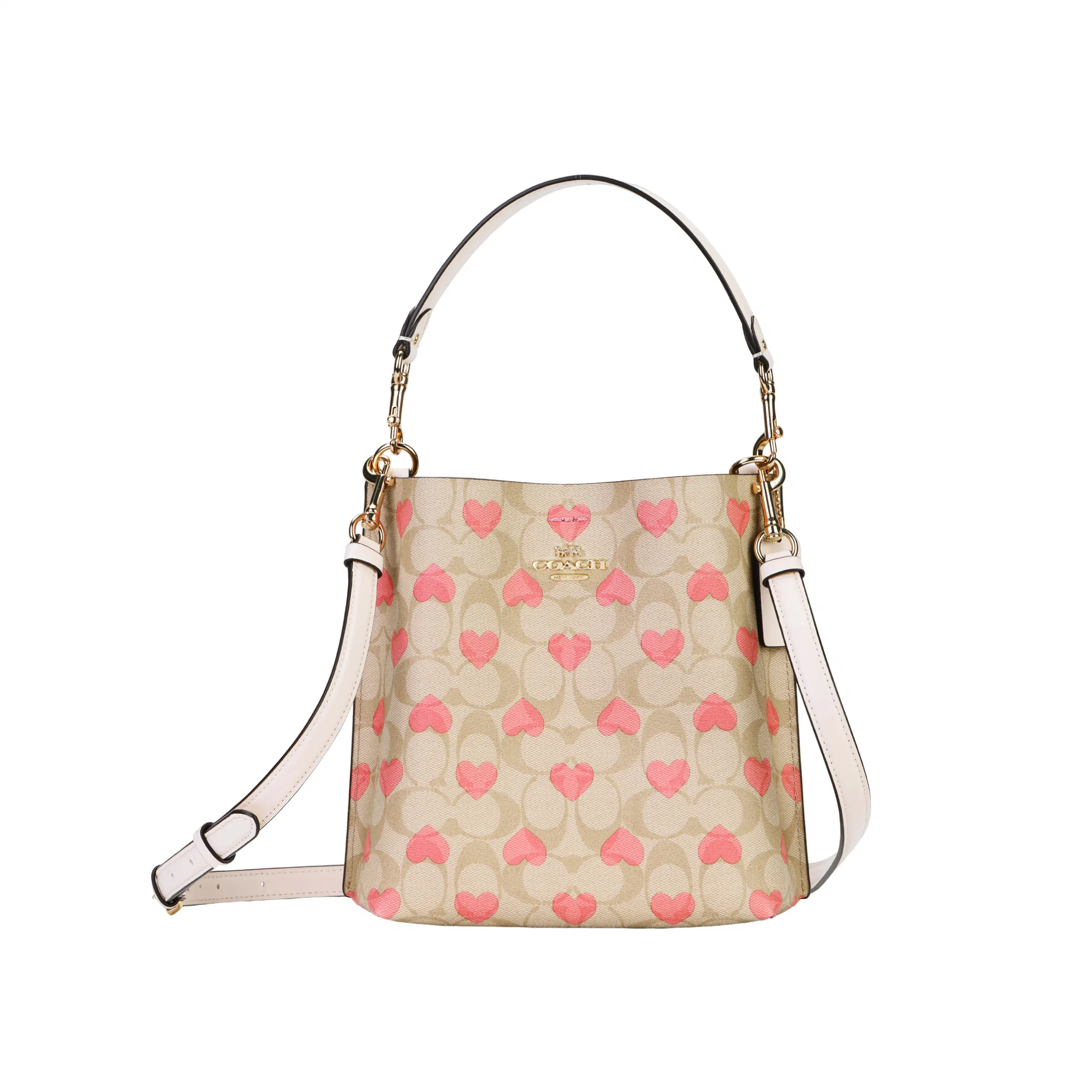 COACH Mollie Handbag Basic Set (Bag and Dust Bag)